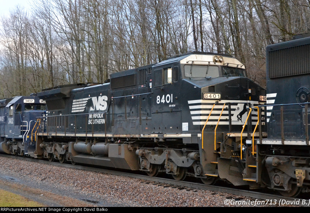 NS 8401